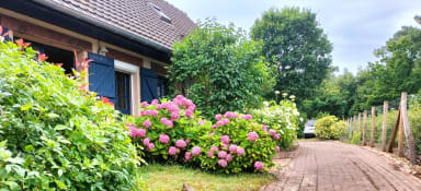 Beautiful Villa Touquettoise Near The Golf - Le Touquet-Paris-Plage