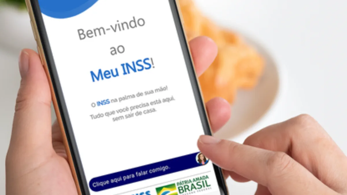 Como baixar e acessar o Meu INSS
