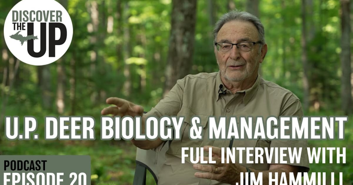 PODCAST - U.P. Deer Biology & Management - Full Interview with Jim ...