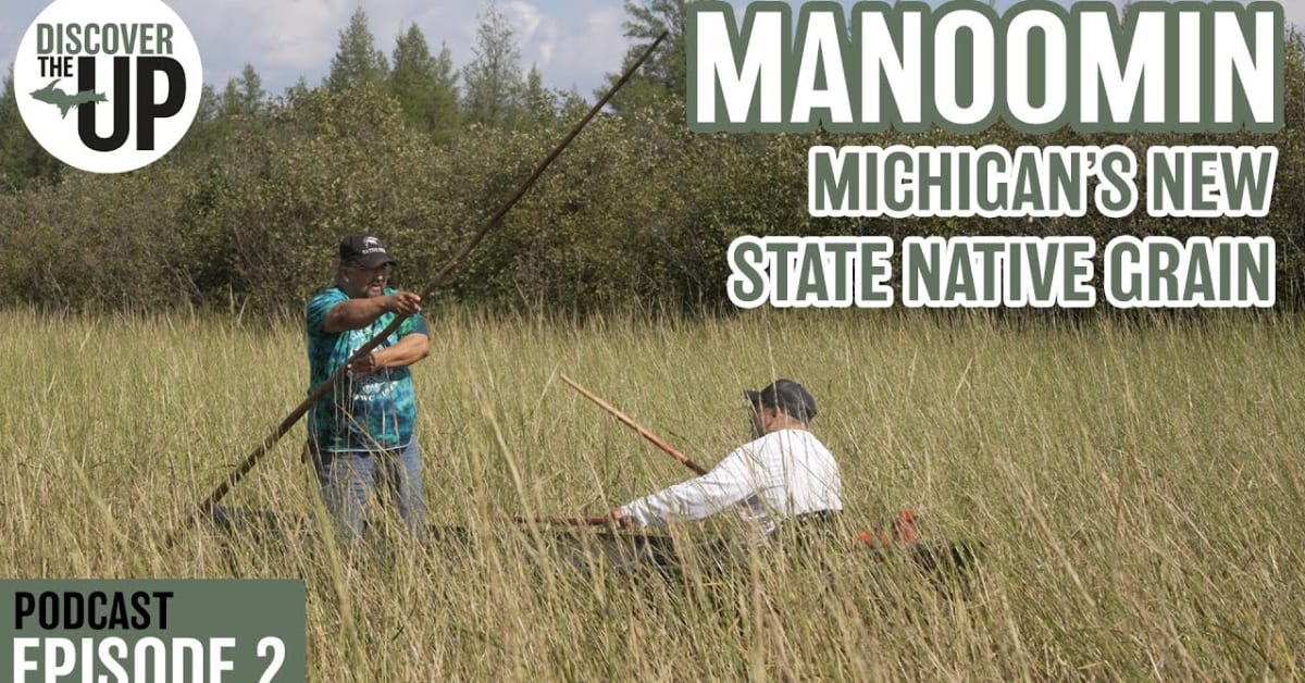 Michigan Native Grain: Manoomin - FULL INTERVIEW | Discover the U.P.