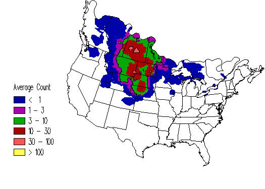 Sharp-tailed Grouse - eBirdr