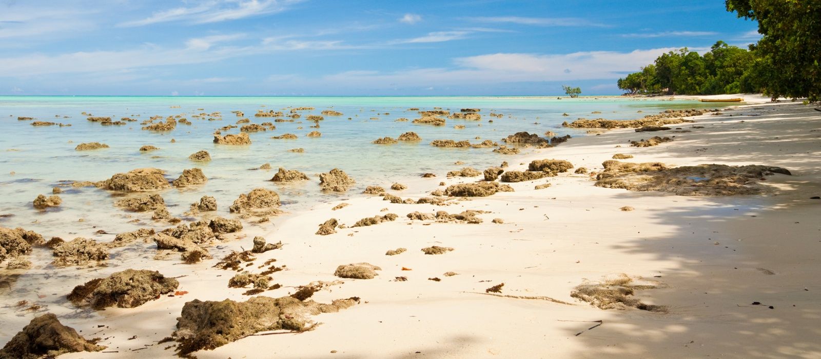 Andaman Islands & Beach Tours | Enchanting Travels