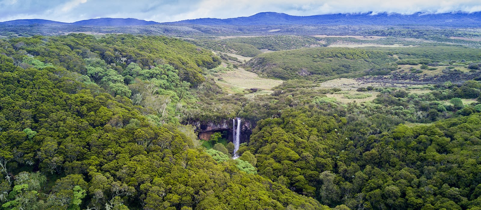 Exclusive Travel Tips for Your Destination Aberdares in Kenya