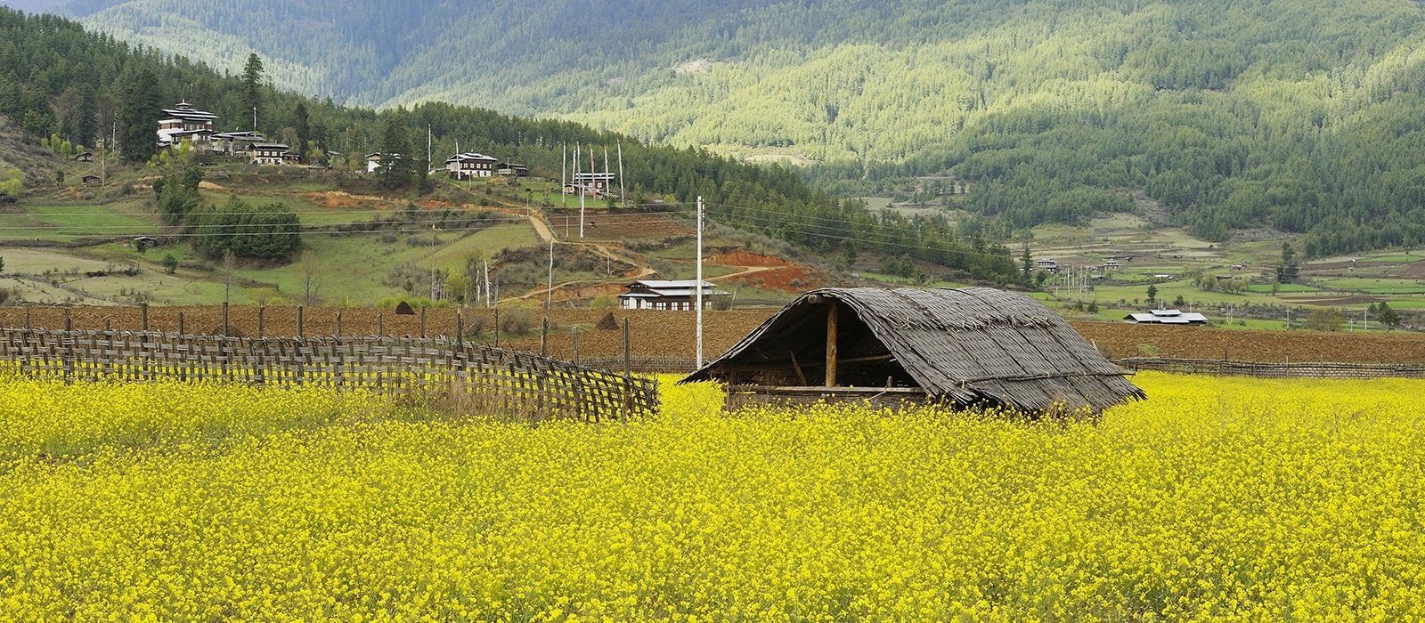 Exclusive Travel Tips for Your Destination Bumthang in Bhutan