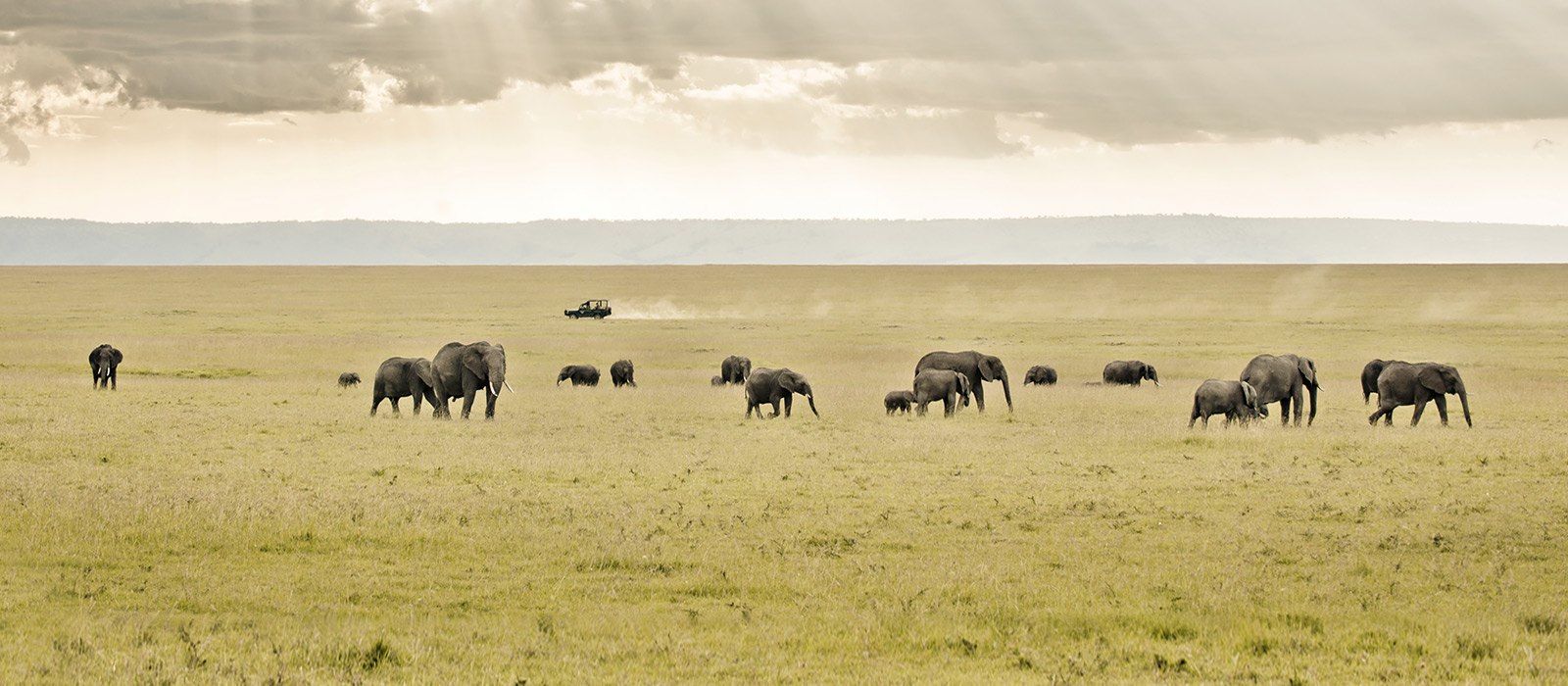 Kenya Tours | Plan your custom Kenya Safari with Enchanting Travels