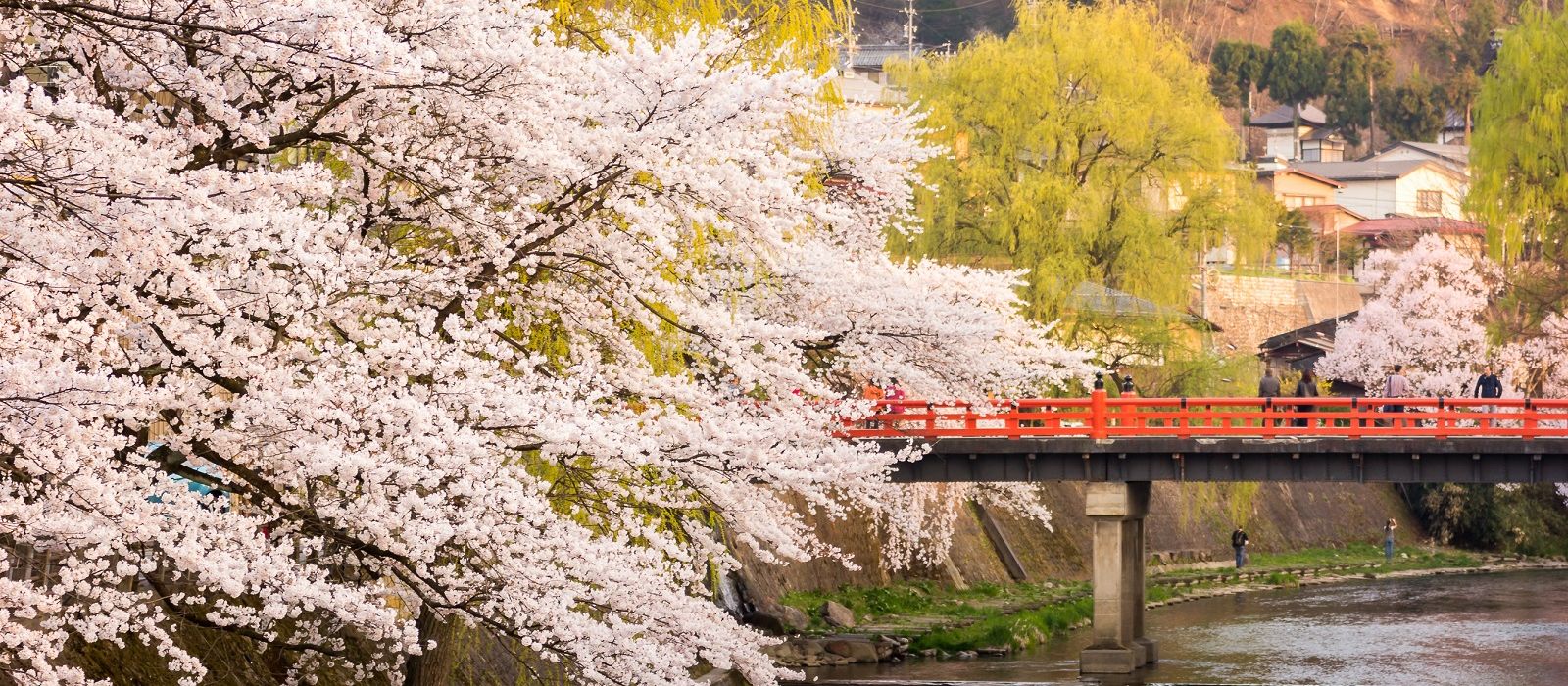 Exclusive Travel Tips for Your Destination Takayama in Japan