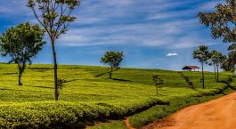 Exclusive Travel Tips for Your Destination Sera Conservancy in Kenya