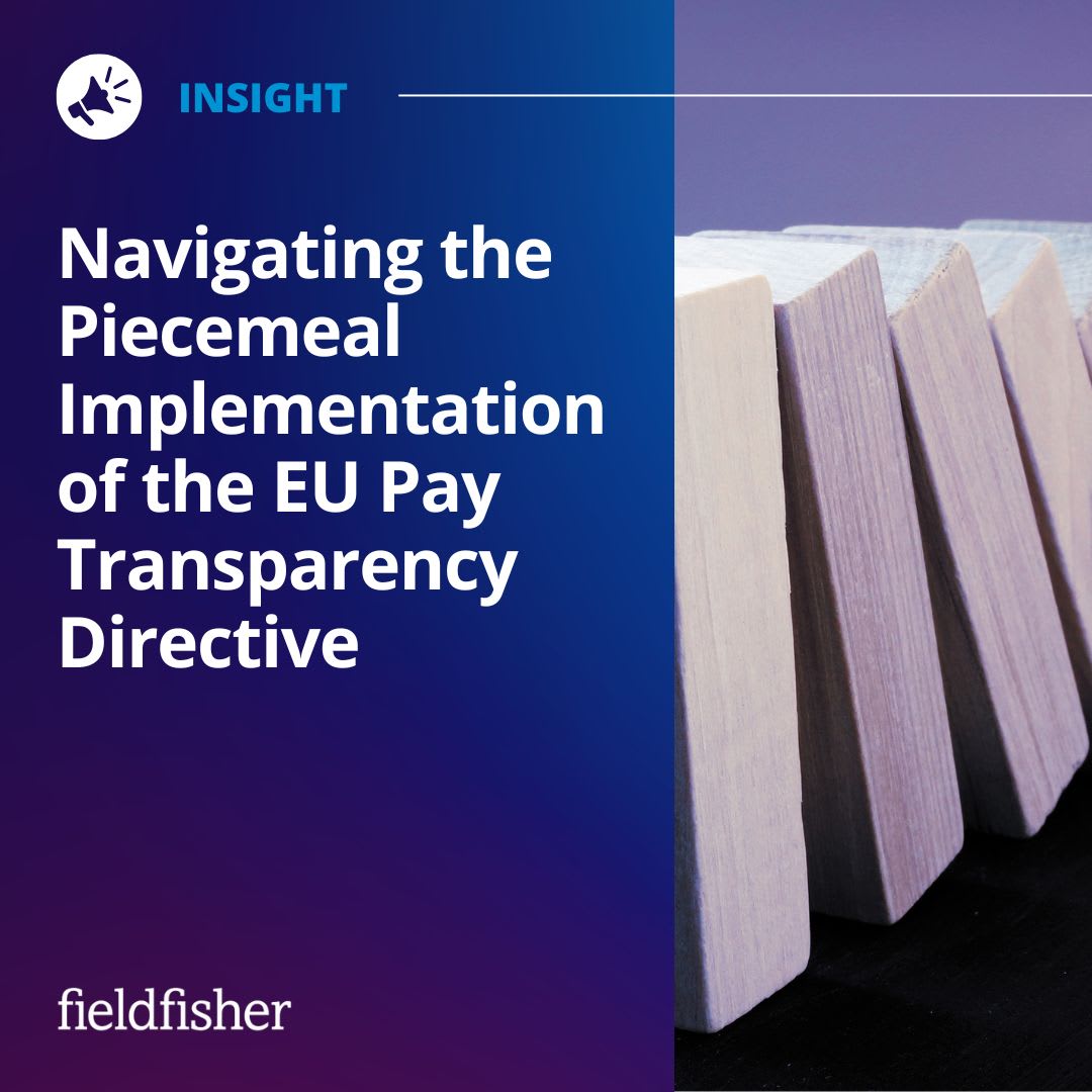 Navigating the Piecemeal Implementation of the EU Pay Transparency ...