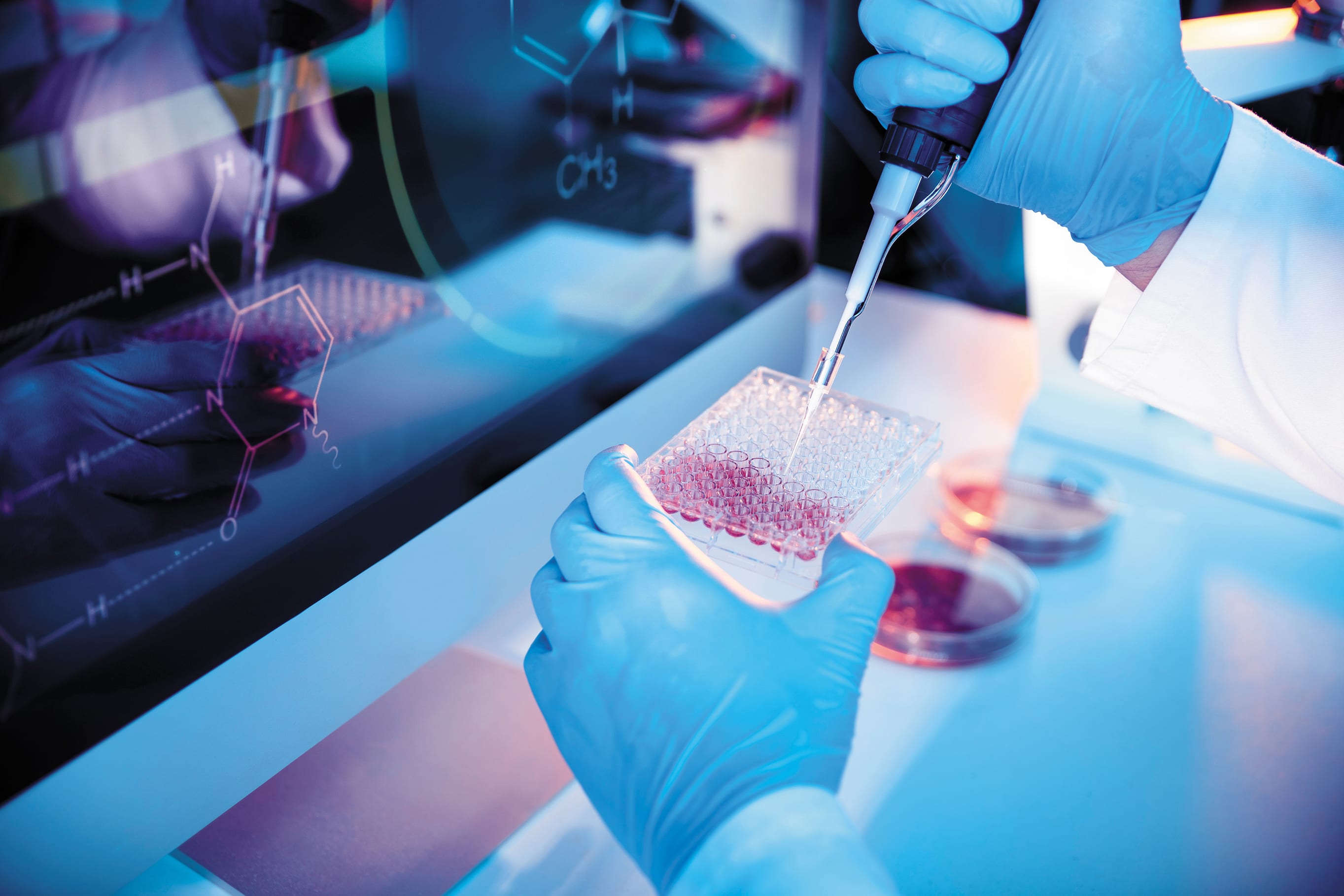 The EU Biotech Act: From Regulatory Reform to Business Action