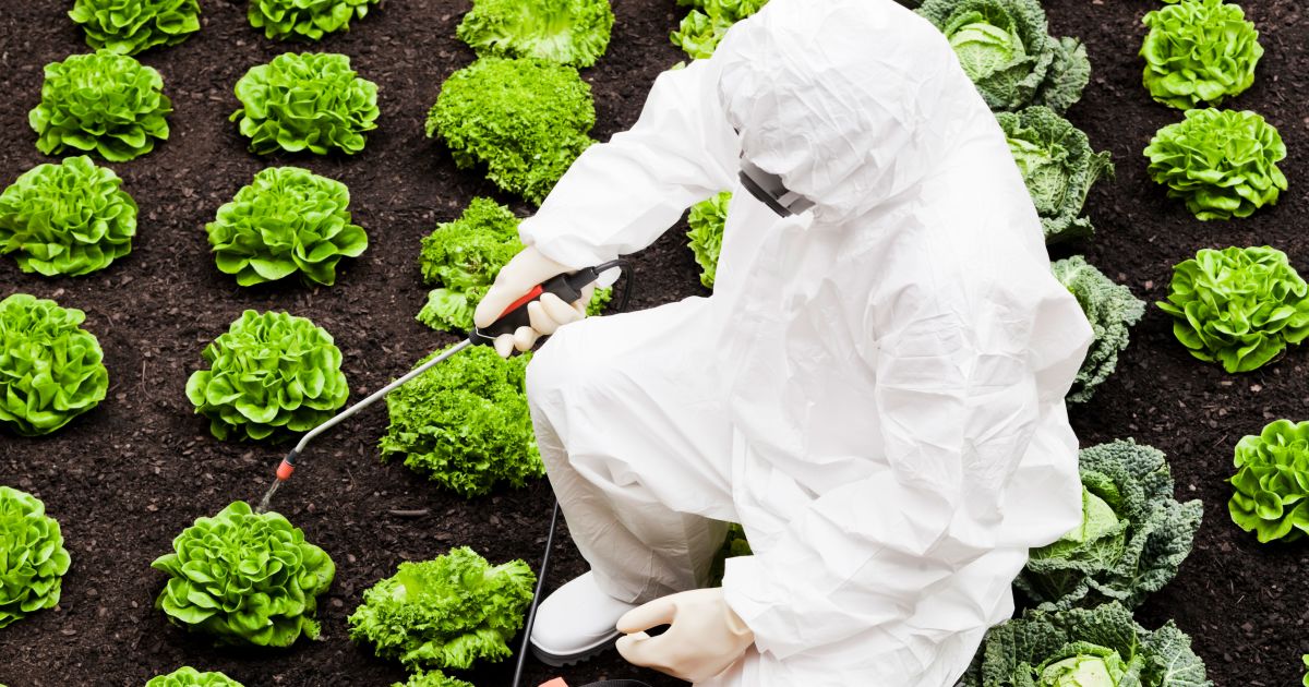 7 scariest food bugs that can make you sick | diet-nutrition - Sharecare