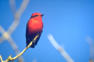 Creole Nature Trail | Lake Charles' All-American Road