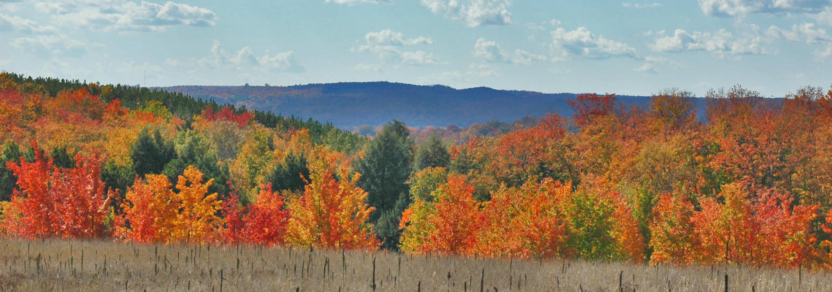 Traverse City Fall Color Tours | Fall Leaf Peeping