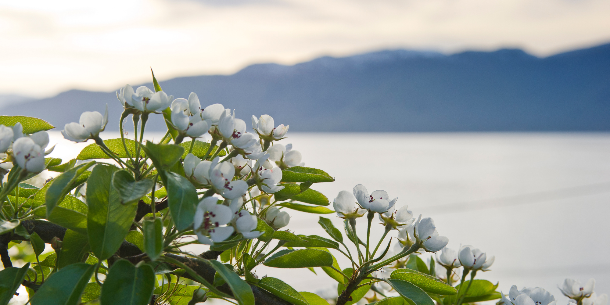 Spring - Official travel guide to Norway - visitnorway.com