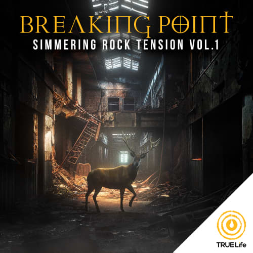Breaking Point - Simmering Rock Tension Vol. 1 -Warner Chappell ...